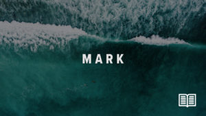 Explore – Bible Reading Plan