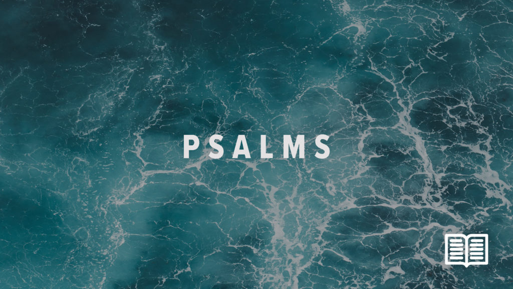 Explore – Bible Reading Plan