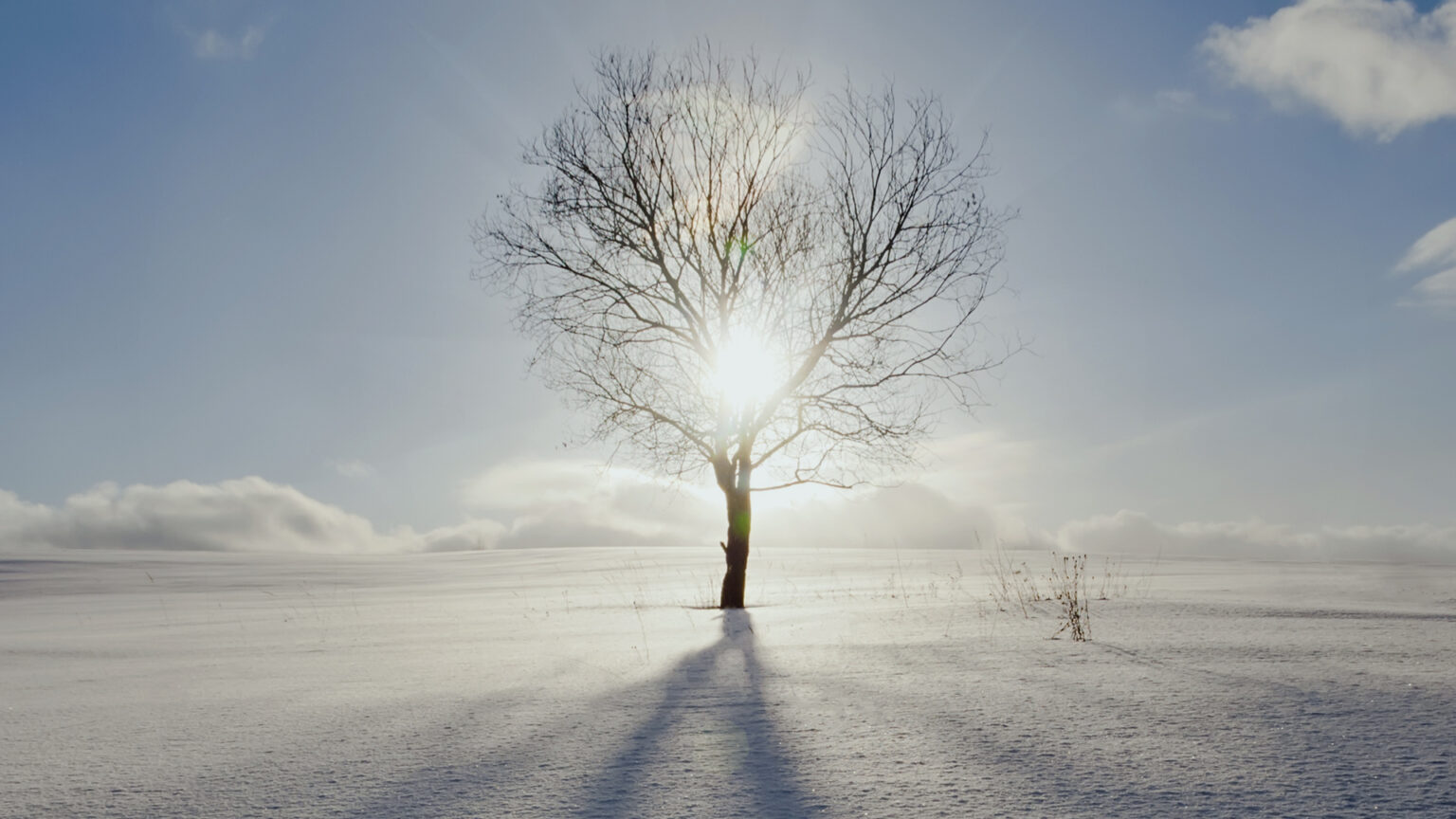 Genesis – Bible Reading Plan